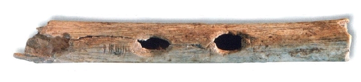 8 Oldest Musical Instruments in the World | Boombuzz