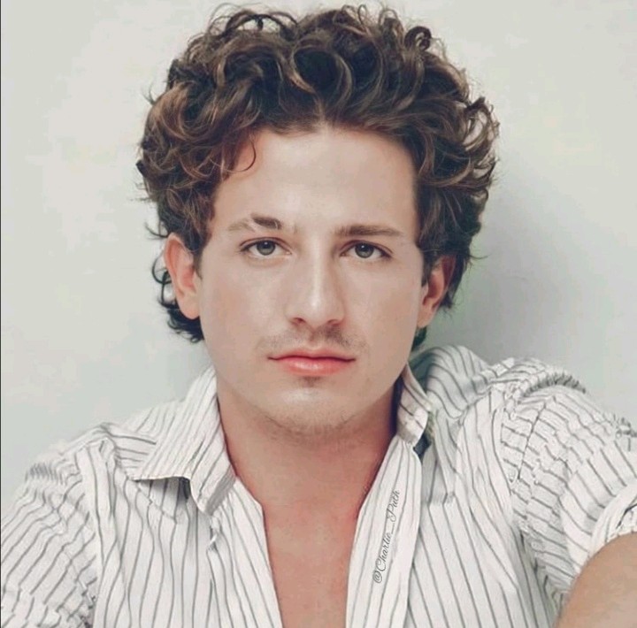 Here Are 9 Charlie Puth’s Highest-Grossing Songs: From The list, What's ...