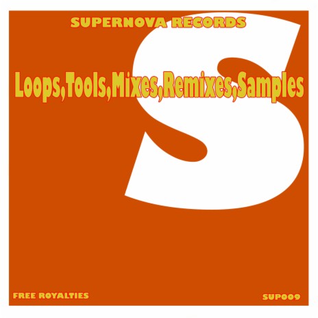 Patrick Seeker - Loops,Tools,Mixes,Remixes,Samples 128 (Tool 16) MP3 ...