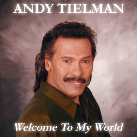 Andy Tielman Little Bird Lyrics | Boomplay