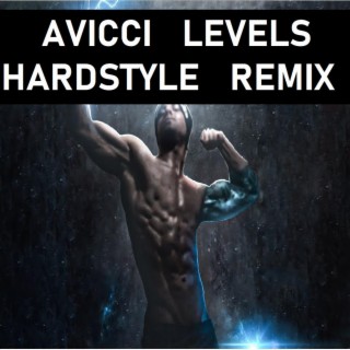 Avicii Levels Album Cover