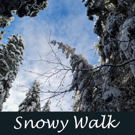 Stellaaa.sh - Snowy Walk MP3 Download & Lyrics | Boomplay