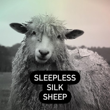 Silver Joke - Sleepless Silk Sheep MP3 Download & Lyrics | Boomplay