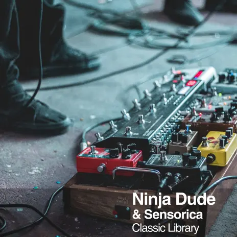 Ninja Dude Songs MP3 Download, New Songs & Albums | Boomplay