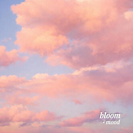 bloom mood Under Soft Lights Lyrics | Boomplay