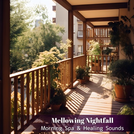 Mellowing Nightfall - Delighted by the Morning MP3 Download & Lyrics ...