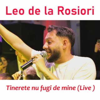 Download Leo de la Rosiori album songs: Tinerete nu fugi de mine (Live ...
