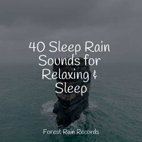 Pacific Rim Nature Sounds Rain Drop Splash Lyrics | Boomplay