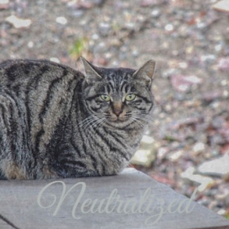 Up the Hill - Jason Meeks MP3 download | Up the Hill - Jason Meeks ...