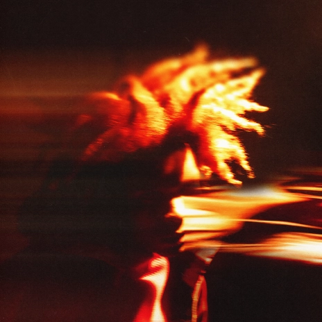 Download d4vd album songs: Withering | Boomplay Music