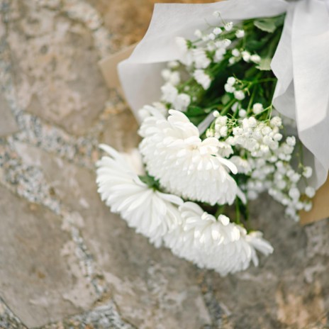 synmelon Lullaby Lyrics | Boomplay