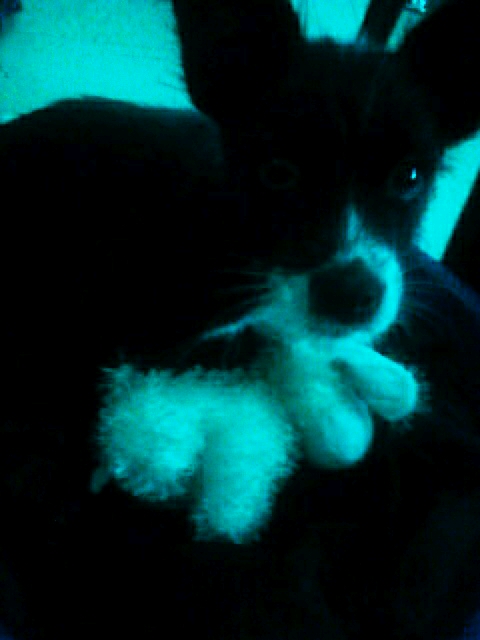 Diamond Platnumz - My Number One MP3 Download & Lyrics | Boomplay