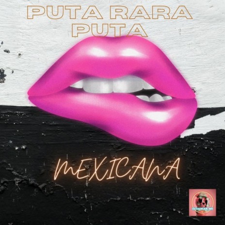 Dj Damian Mx Puta Mexicana Mp3 Download And Lyrics Boomplay