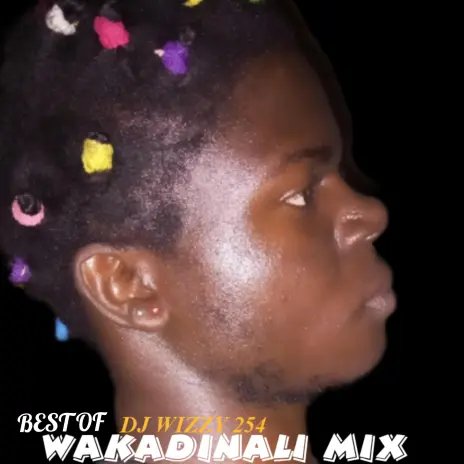 DJ WIZZY 254 - Best of Wakadinali mix MP3 Download & Lyrics | Boomplay