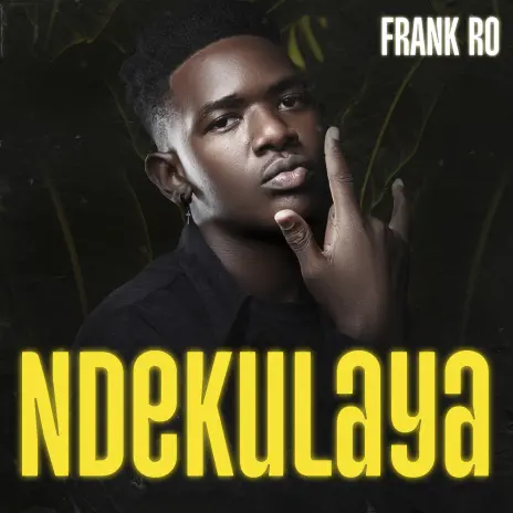 Frank Ro Sotambe ft. Yo Maps Lyrics | Boomplay
