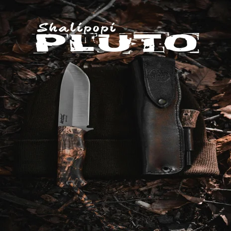 Download Shalipopi album songs: Pluto | Boomplay Music