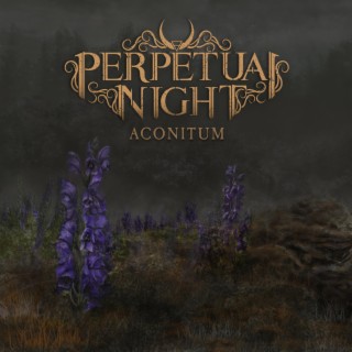 Perpetual Night Songs MP3 Download, New Songs & Albums | Boomplay