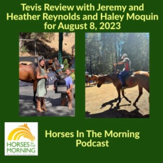 Endurance: Husband & Wife Team, Lenhart Completes 20th 100, Tips For an ...