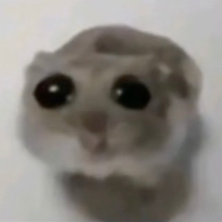 Download LIL SIMBERIGNO album songs: Sad Hamster Violin Meme (PHONK ...