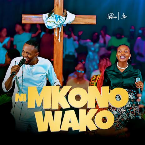 Dr. Ipyana - NI MKONO WAKO MP3 Download & Lyrics | Boomplay