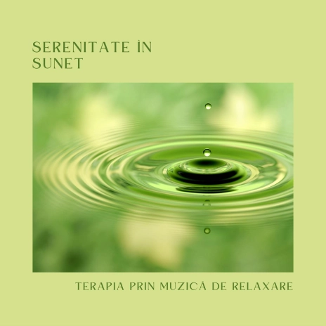Terapia prin muzică de relaxare Songs MP3 Download, New Songs & Albums ...