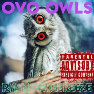 Download RYAN LAKEBREEZE album songs: Ovo Owls | Boomplay Music
