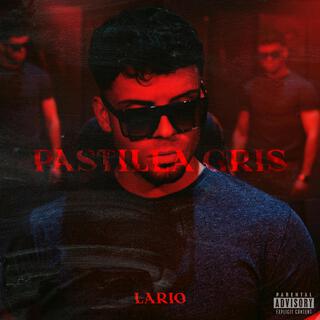 Logotipo De Lario
