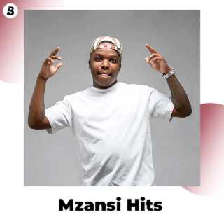 Mzansi Hits | Boomplay Music