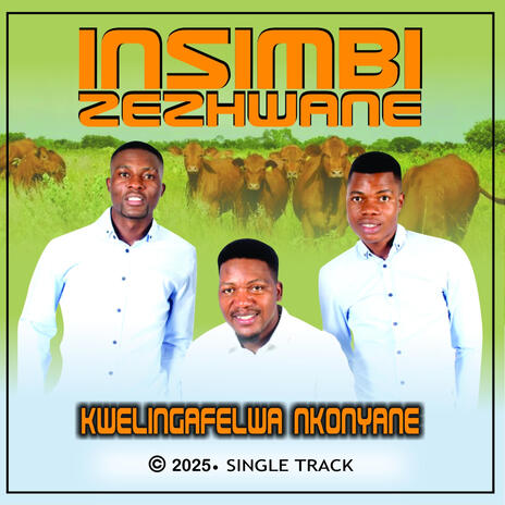Insimbi ZeZhwane - GPS MP3 Download & Lyrics | Boomplay