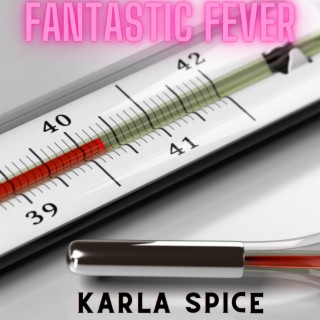 Download Karla Spice album songs: Fantastic Fever | Boomplay Music