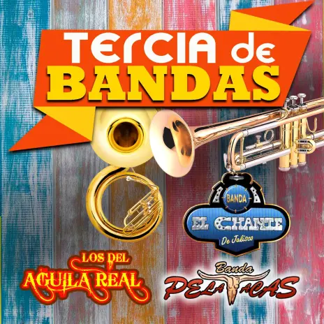 Download Various Artists album songs: Tercia de Bandas | Boomplay Music