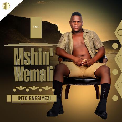 Mshinwemali - Ncono Siyeke (feat. Shenge wasehlalankosi) MP3 Download & Lyrics | Boomplay