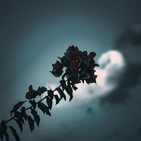 Gibran Alcocer - Idea 10 MP3 Download & Lyrics | Boomplay