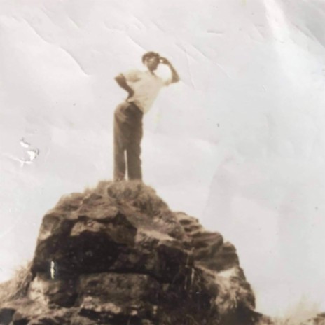 Lemon Tree - Francesca Brzoskowski MP3 download | Lemon Tree ...