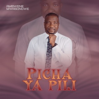 Download Ambwene Mwasongwe album songs: Picha Ya Pili | Boomplay Music