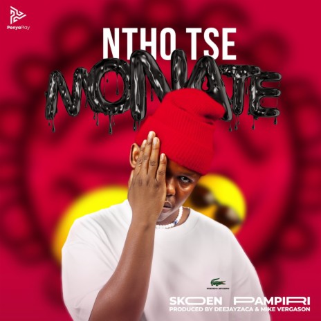 Skoen Pampiri - Ntho Tse Monate ft. DeejayZaca & Mike Vergason MP3 ...
