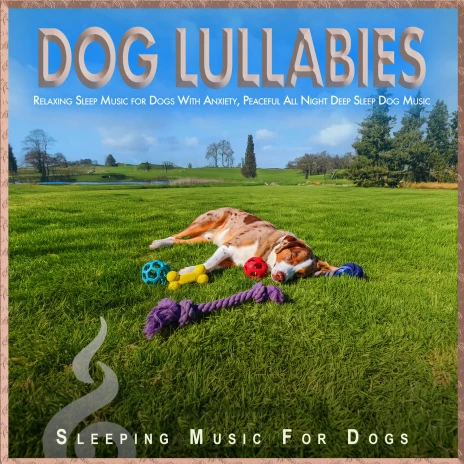 Download Sleeping Music For Dogs album songs: Dog Lullabies: Relaxing ...