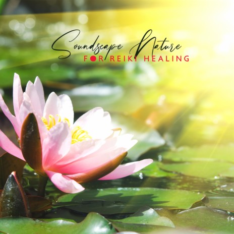 Calming Music (Relaxing Background Music) - Chakra Healing Music ...