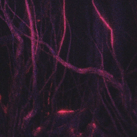 wydrob - ROOTS MP3 Download & Lyrics | Boomplay