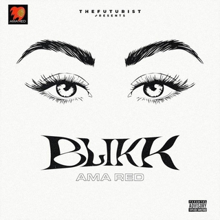 Blikk Logo BLIKK