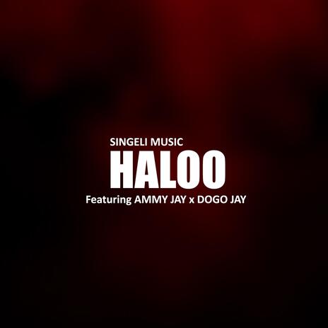Singeli Music - HALOO (feat. Ammy jay & Dogo Jay) MP3 Download & Lyrics ...