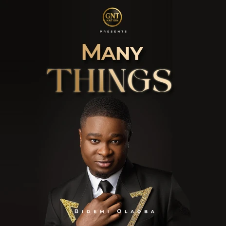 Download Bidemi Olaoba album songs: Many Things | Boomplay Music