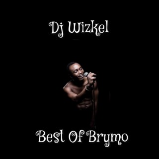 Download DJ WIZKEL album songs: Best of Brymo | Boomplay Music