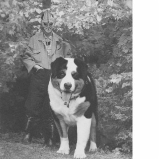 mdmdmdmdmdmd Songs MP3 Download, New Songs & Albums | Boomplay