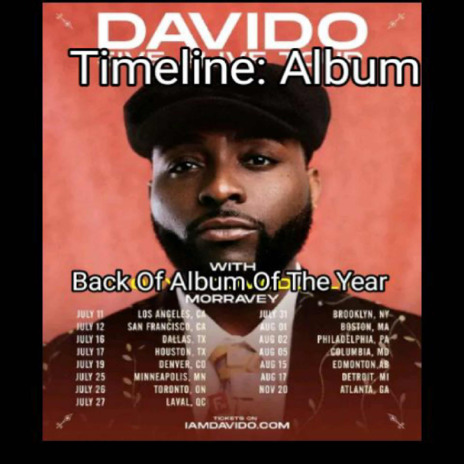 Peace dove sinzu - Davido With You ft Omah Lay MP3 Download & Lyrics ...