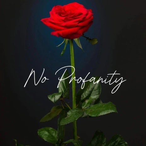 Download LilCon album songs: No Profanity | Boomplay Music