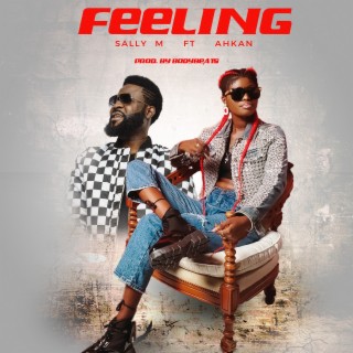 Download Sally M album songs: Feeling | Boomplay Music