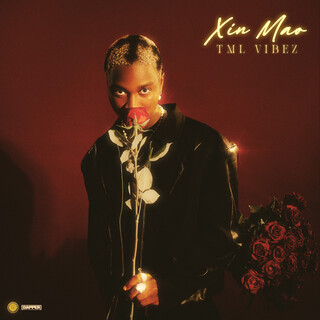 Download Tml Vibez album songs: Xin Mao | Boomplay Music