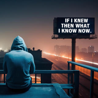 none the wiser sam wise