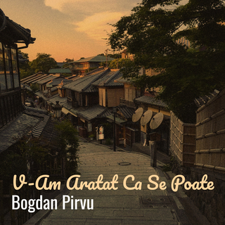 Download Bogdan Pirvu album songs: V-Am Aratat Ca Se Poate | Boomplay Music